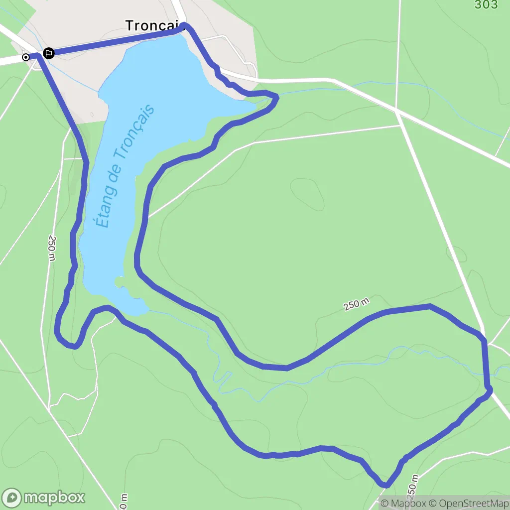 Sublime forêt de Tronçais et sa balade autour de l’étang