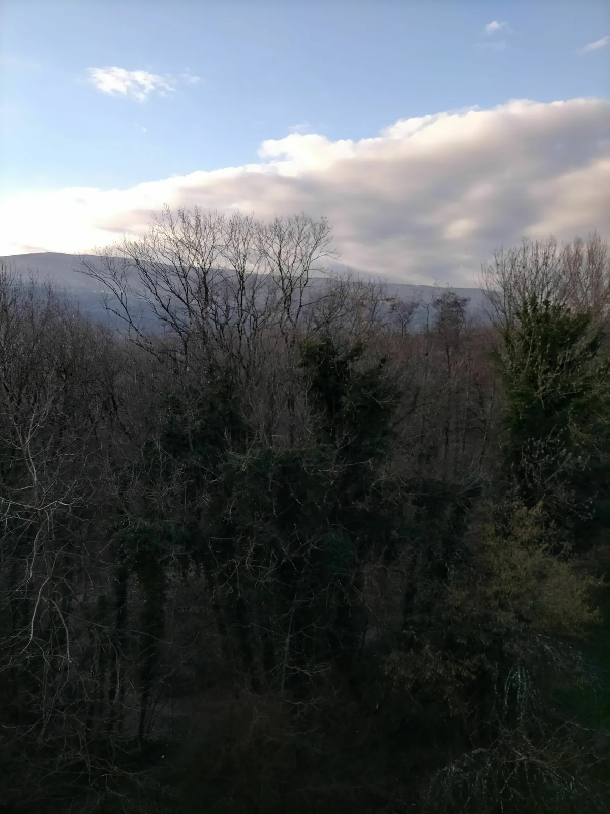 Combe verte et Parc du Talweg
