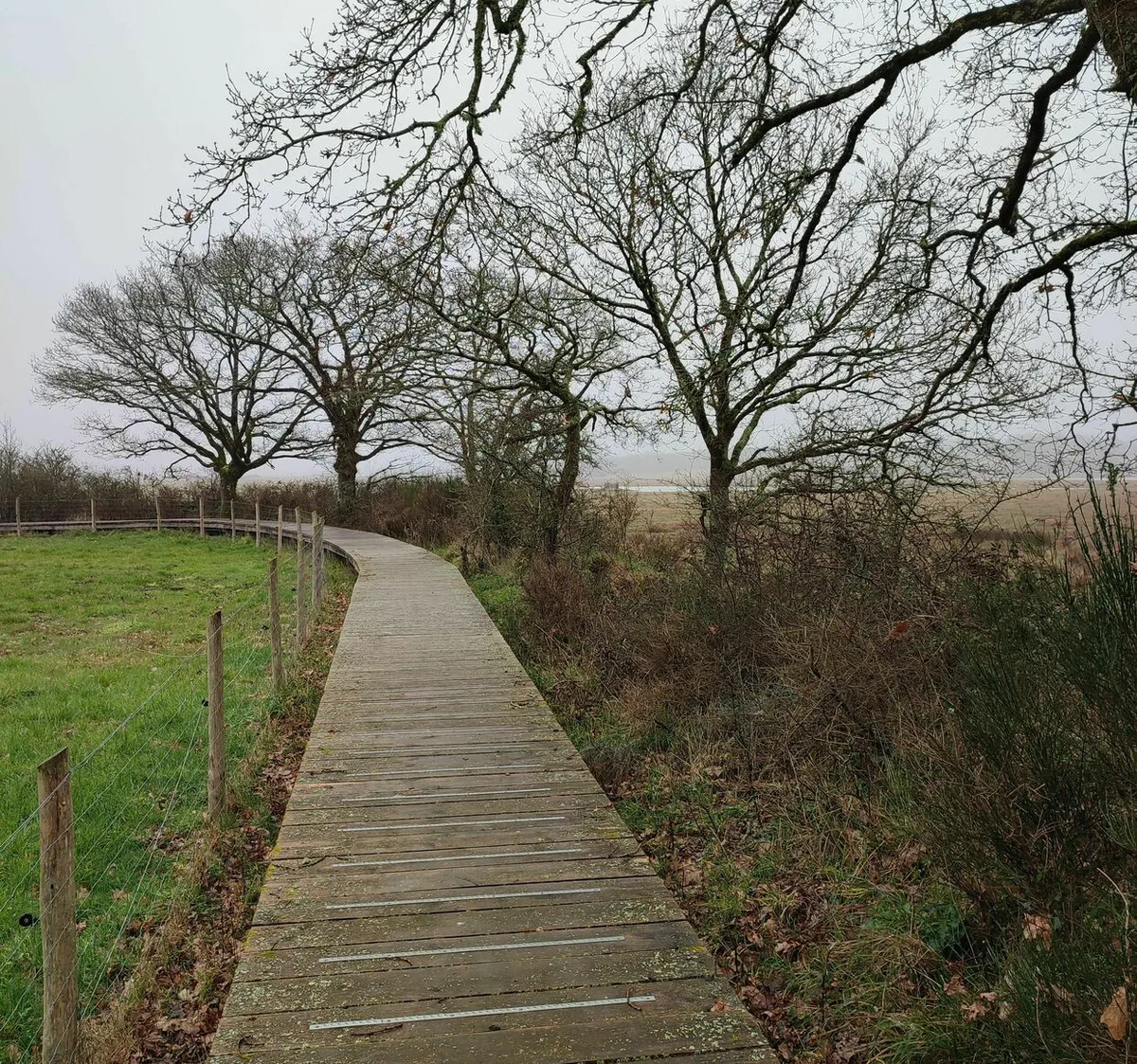 Surzur auprès des marais de Trémoyec