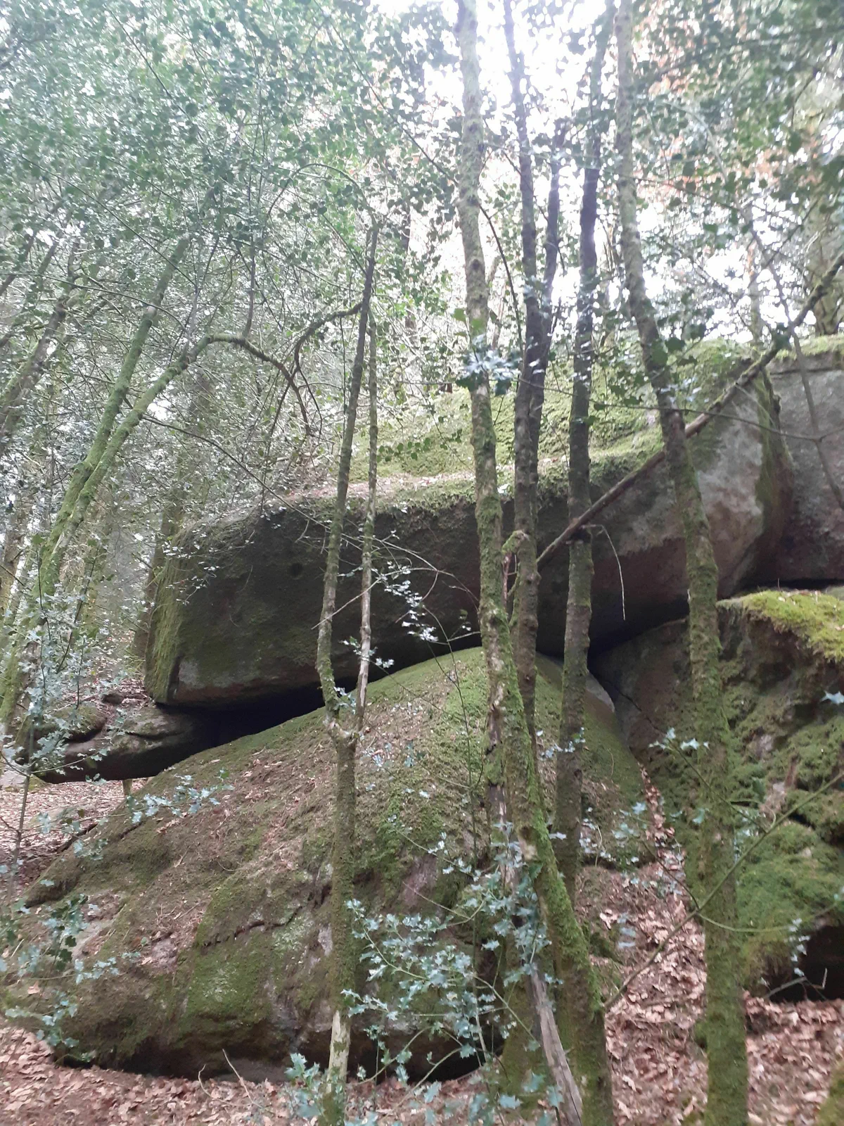 Magnifique randonnée sur le sentier découverte autour de Guéret