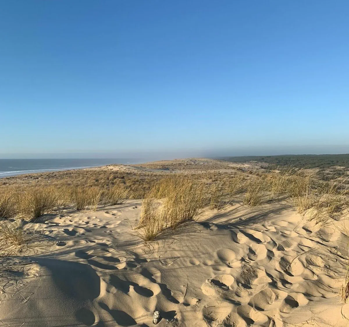 Le Porge Océan et sa plage