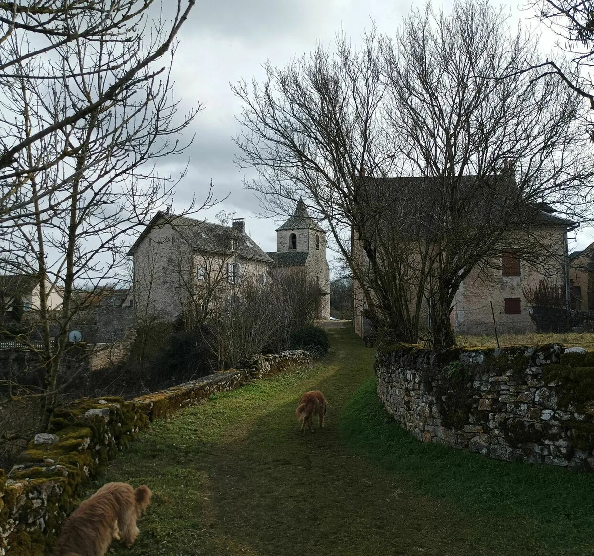 Le Puech Del Triou à Sébazac par Onet l'Eglise