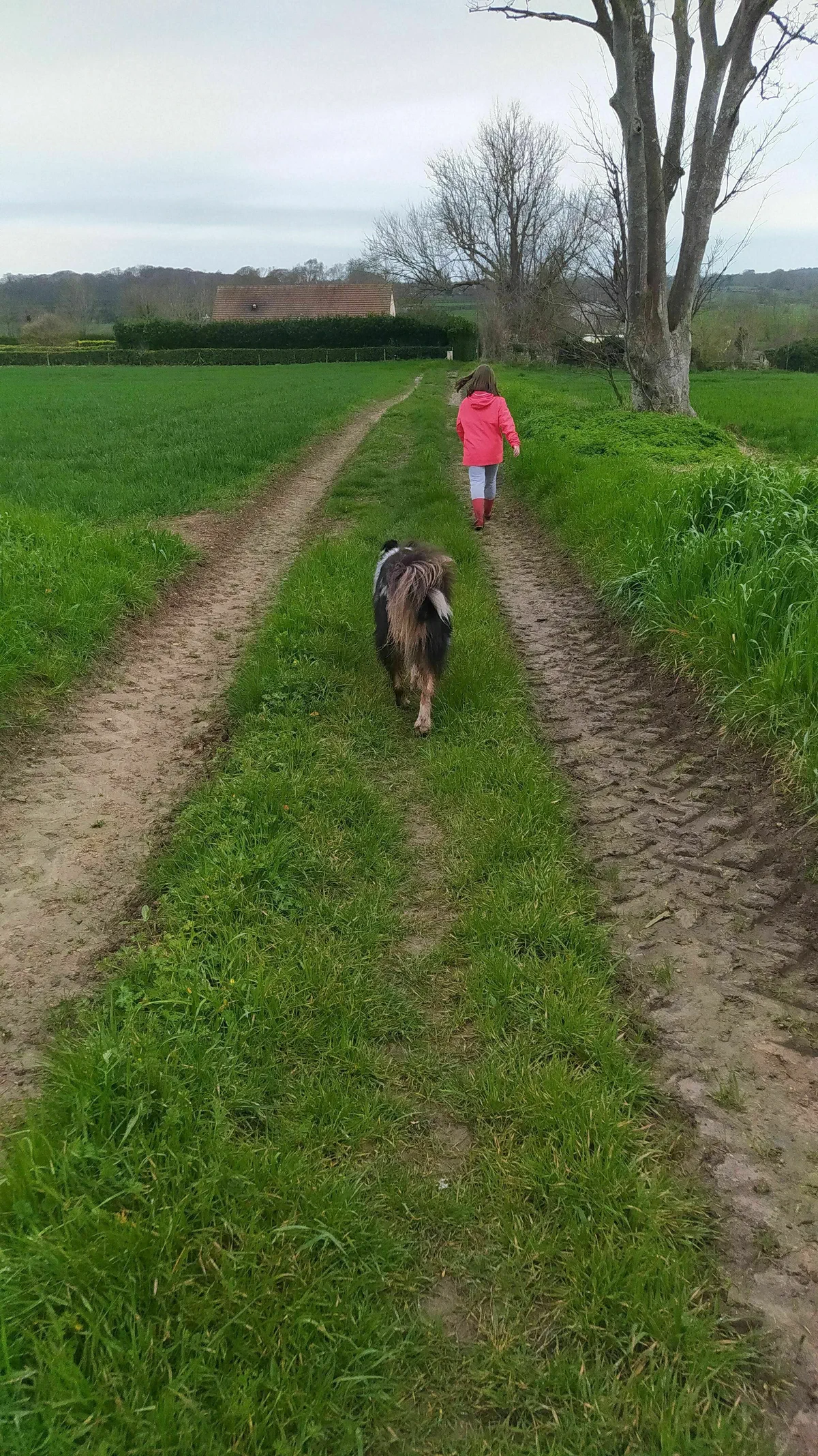 Russy chemin de campagne par le Cachot