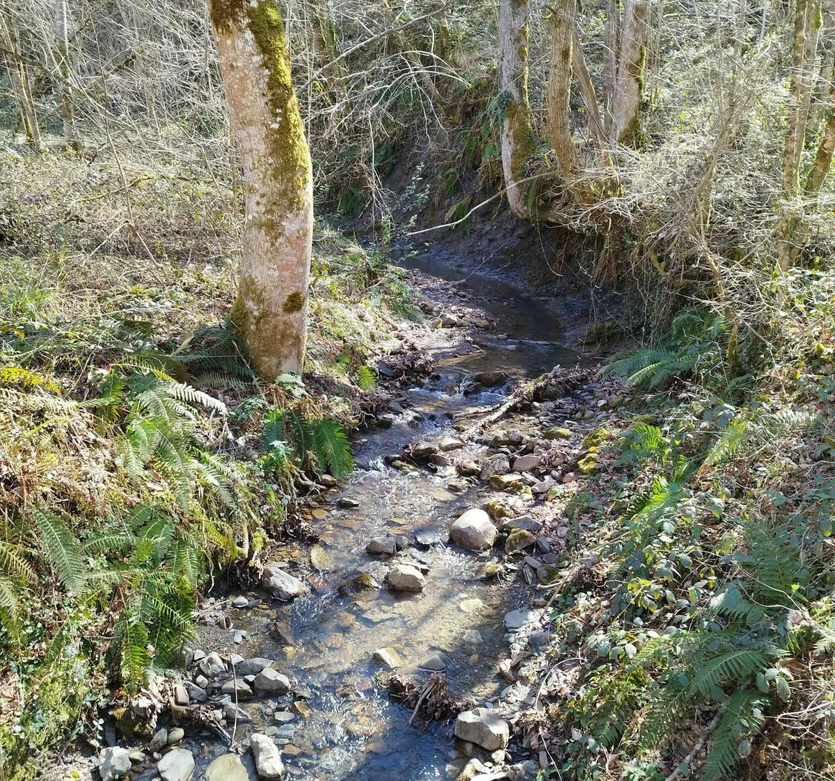 Balade autour de Bagert