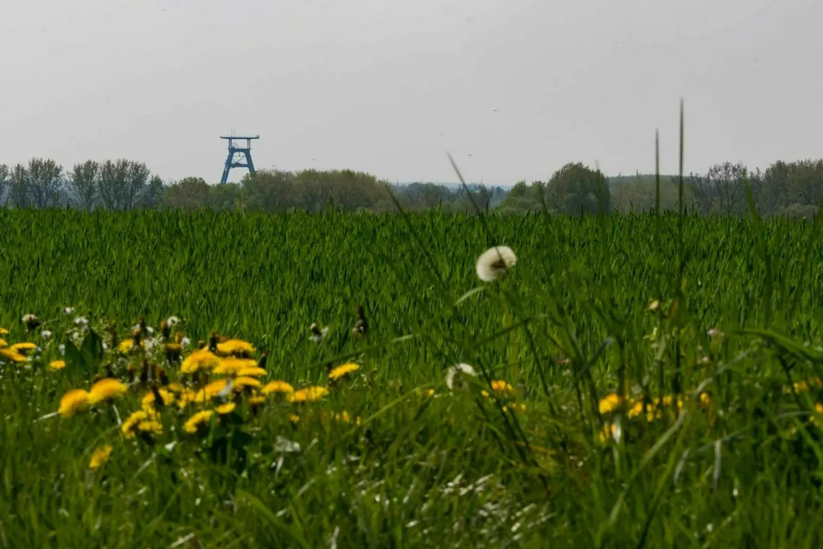 Douai : la croisée des chemins