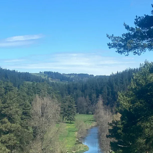 Saint-Alban-sur-Limagnole : les plus belles randonnées - Lozère