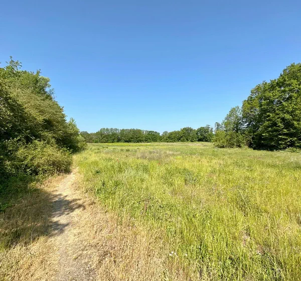 Balade entre forêt et bords de Seine depuis Rosny sur Seine
