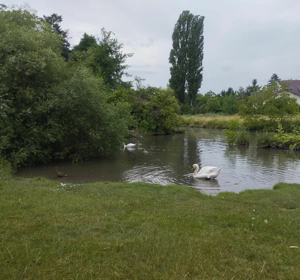 La ronde des 4 cours d'eau autour de Colmar