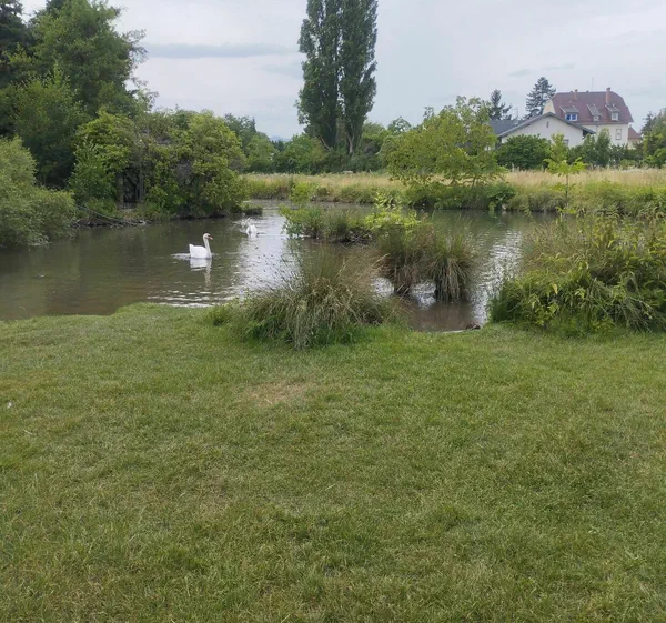 La ronde des 4 cours d'eau autour de Colmar