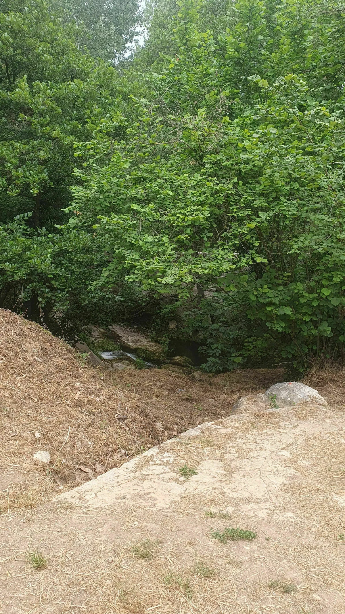 Belle balade au pont des Tamarin, le long de la Brague