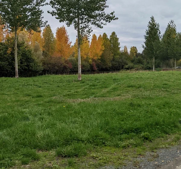 A la découverte de Pont-Noyelles