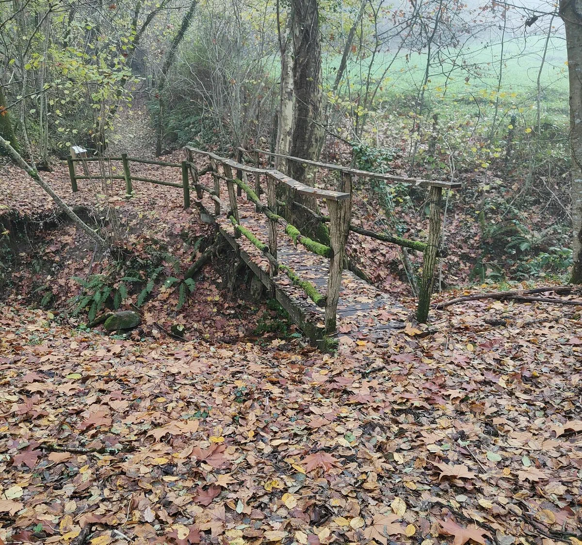 Promenade sur les hauteurs de Beaulieu
