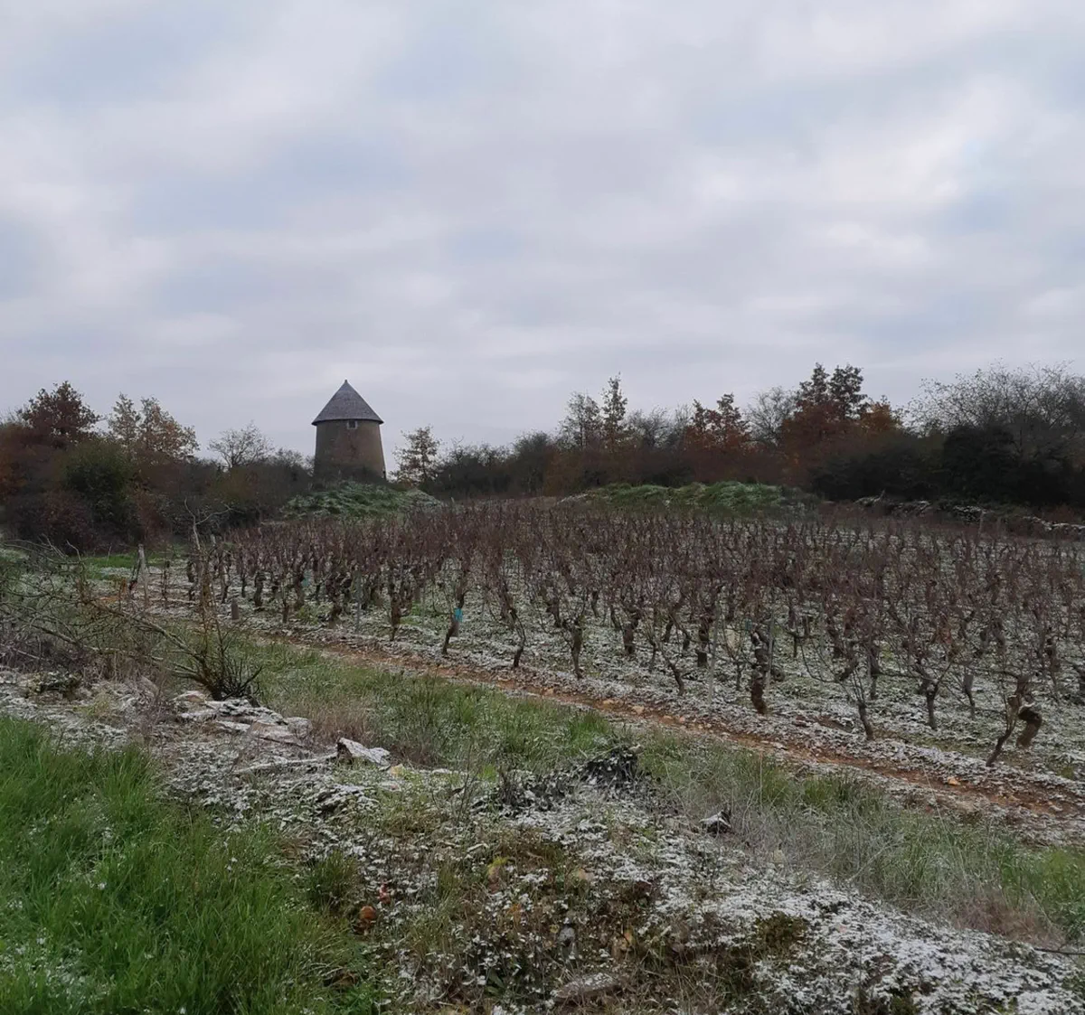 Petit tour sur les hauteurs de Givry