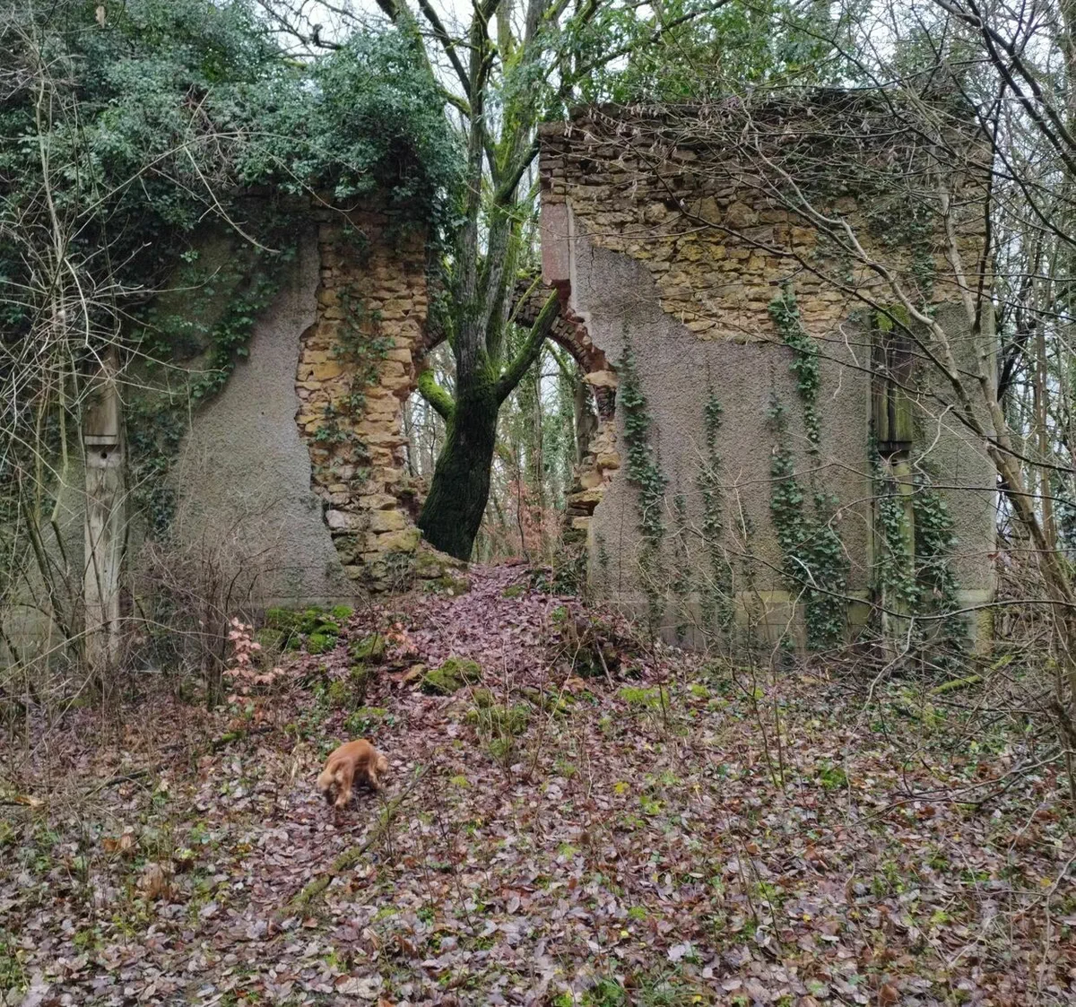 Tour plateau de Ludres