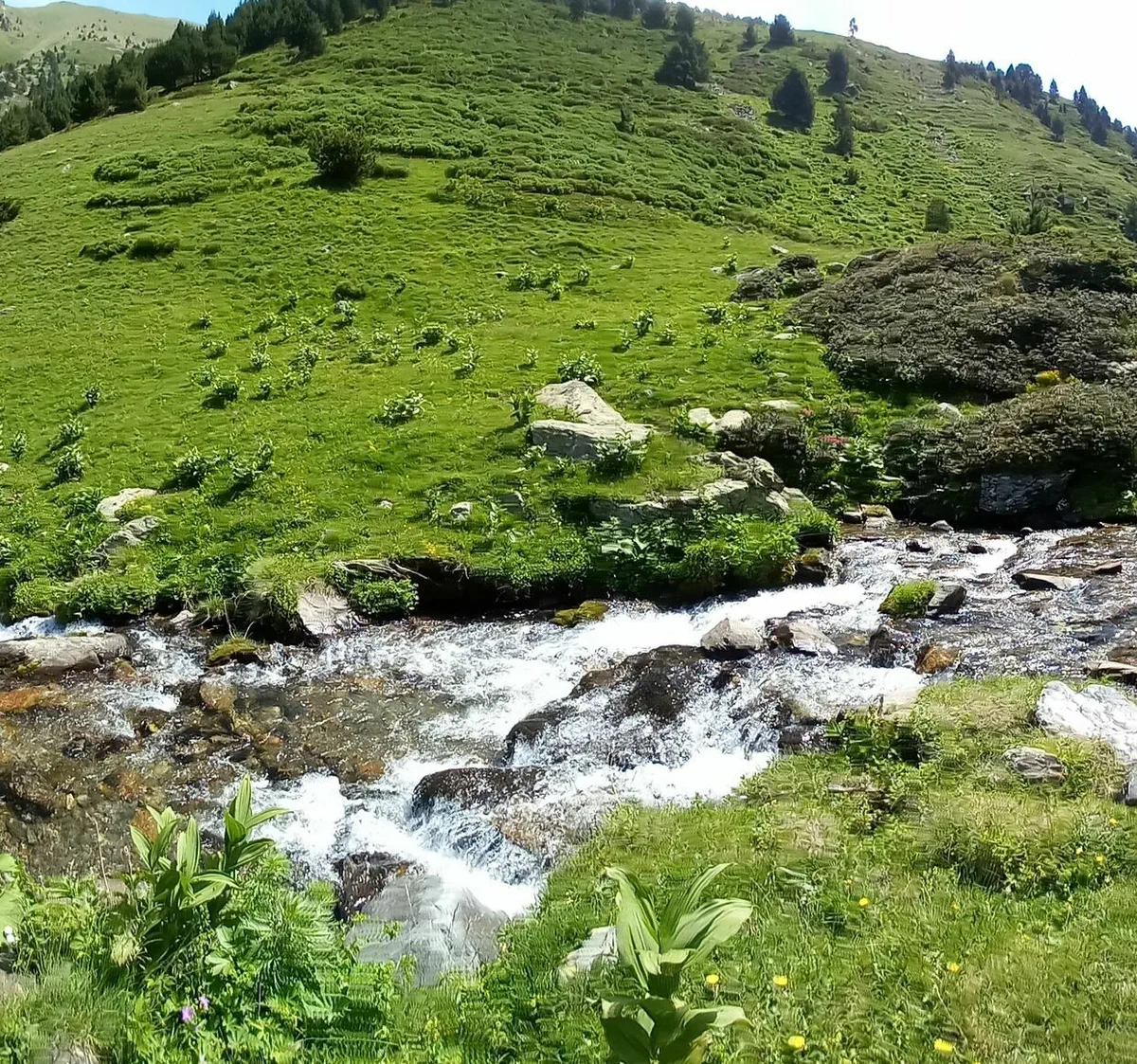 La vallée d'Eyne et les Orri