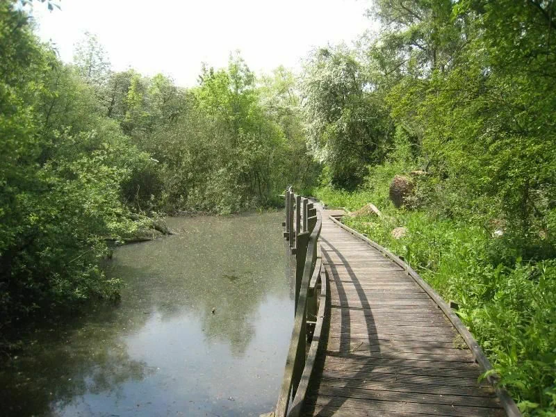 Marais de Cambrin et Annequin