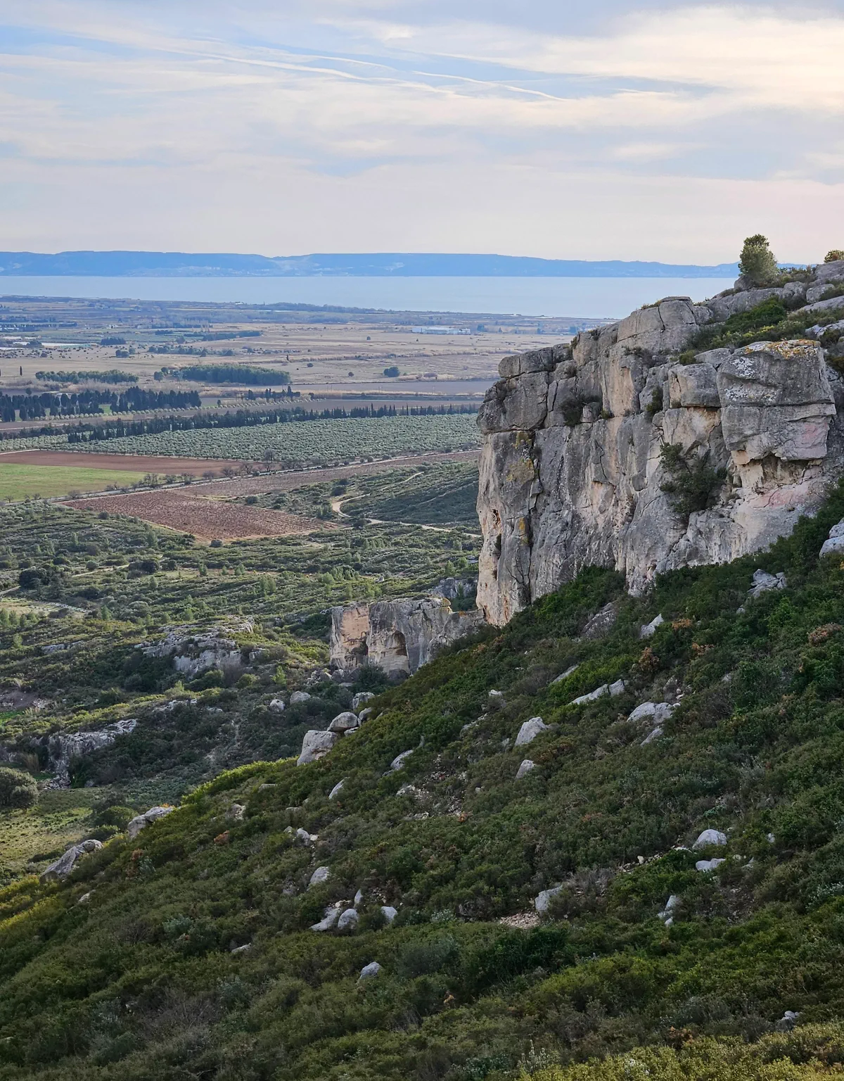 Lançon de Provence