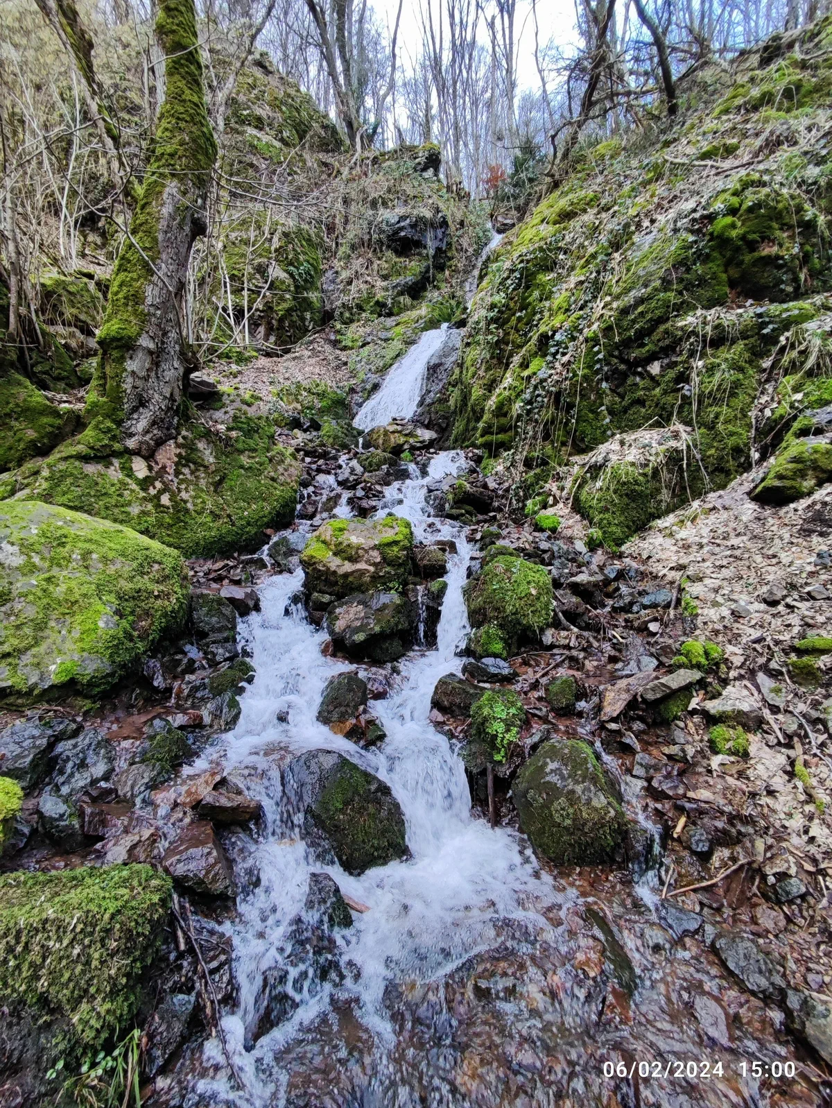 Cascade du Siehlbaechle en forêt de Wattwiller