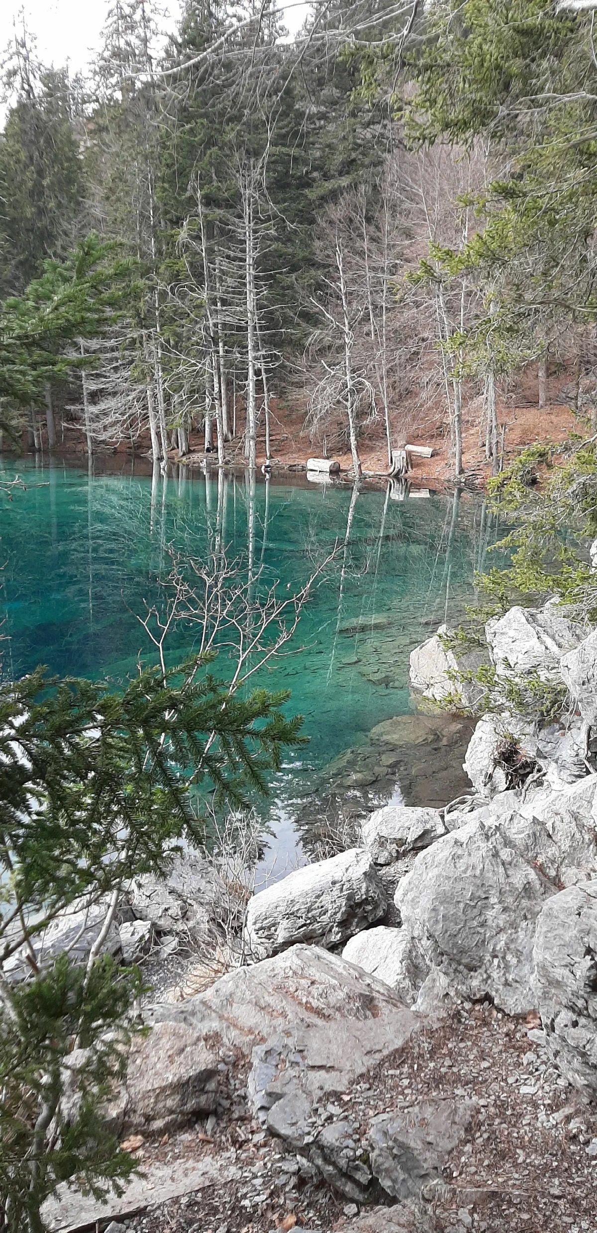 Rando facile du Lac Vert depuis la Côte