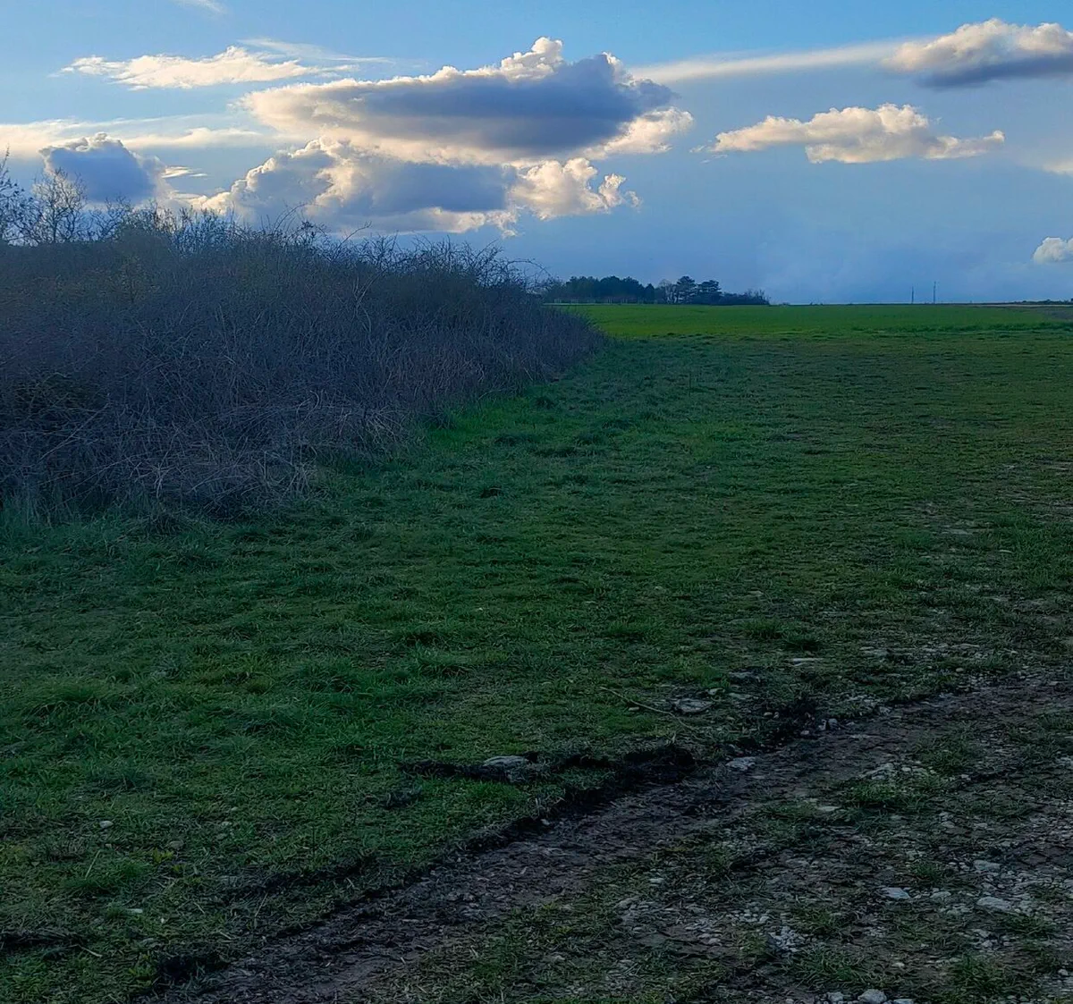 Randonnée de la Combe du Diable, par la Combe Bessey et Serpent