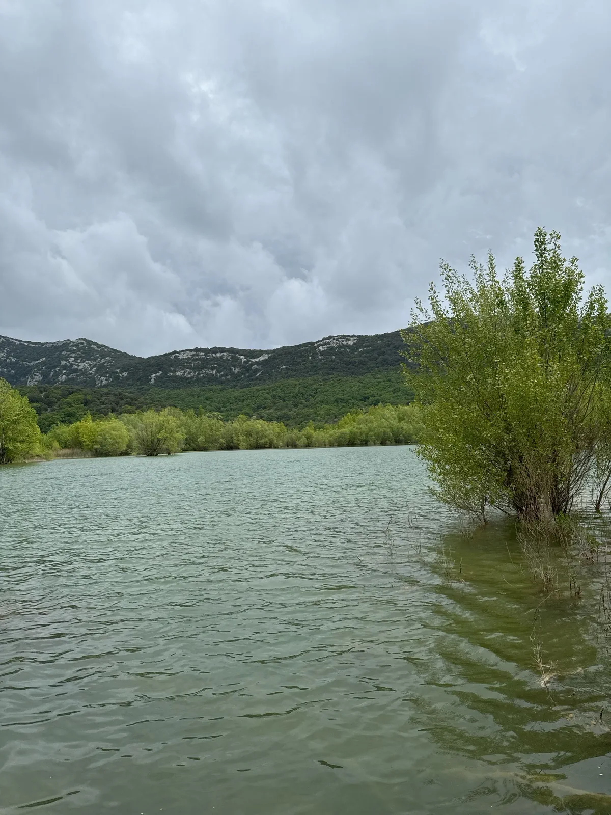Tour du lac de la Jasse