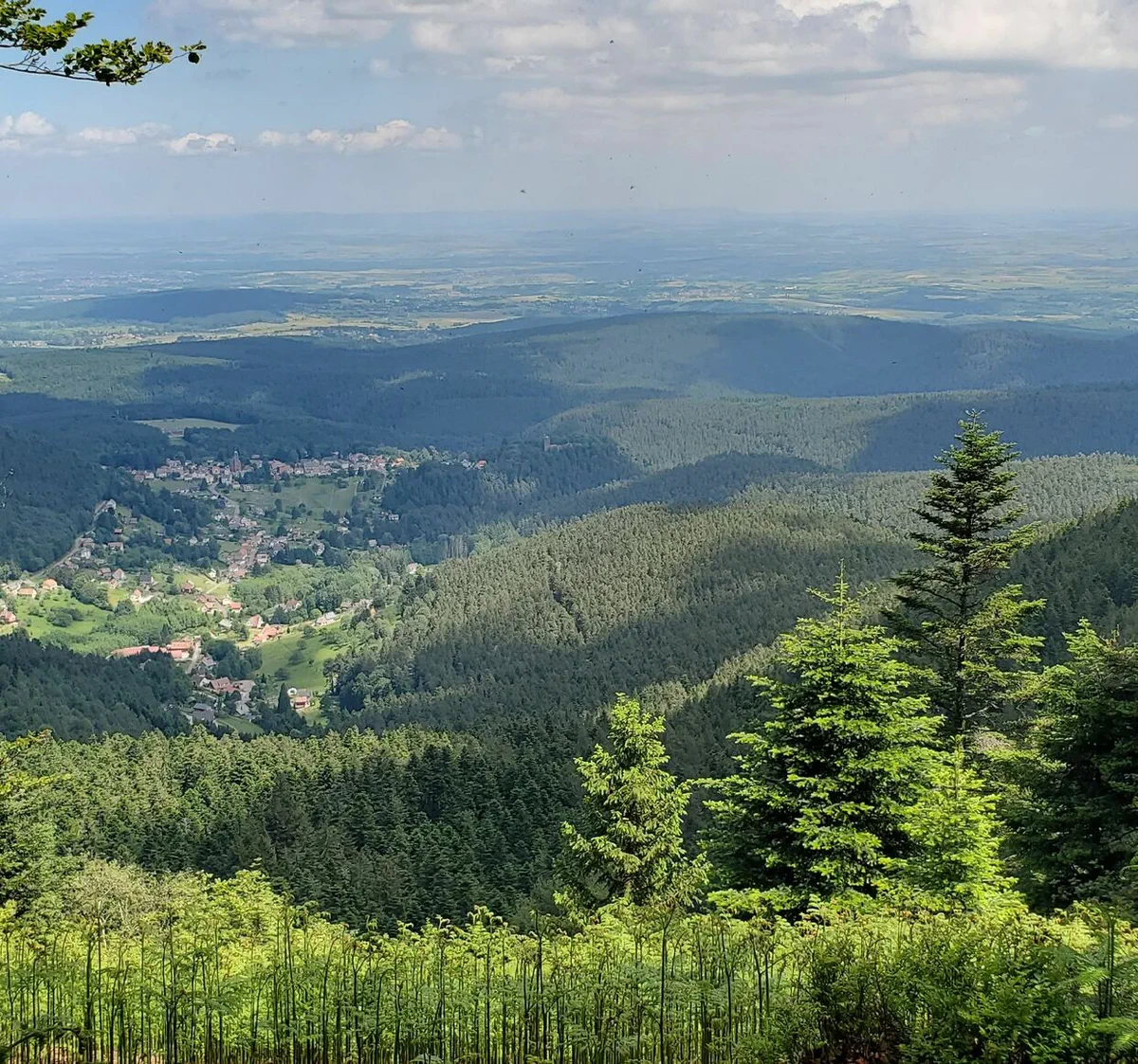 Tour du Wolfsthal à partir de Wangenbourg par le Schneeberg