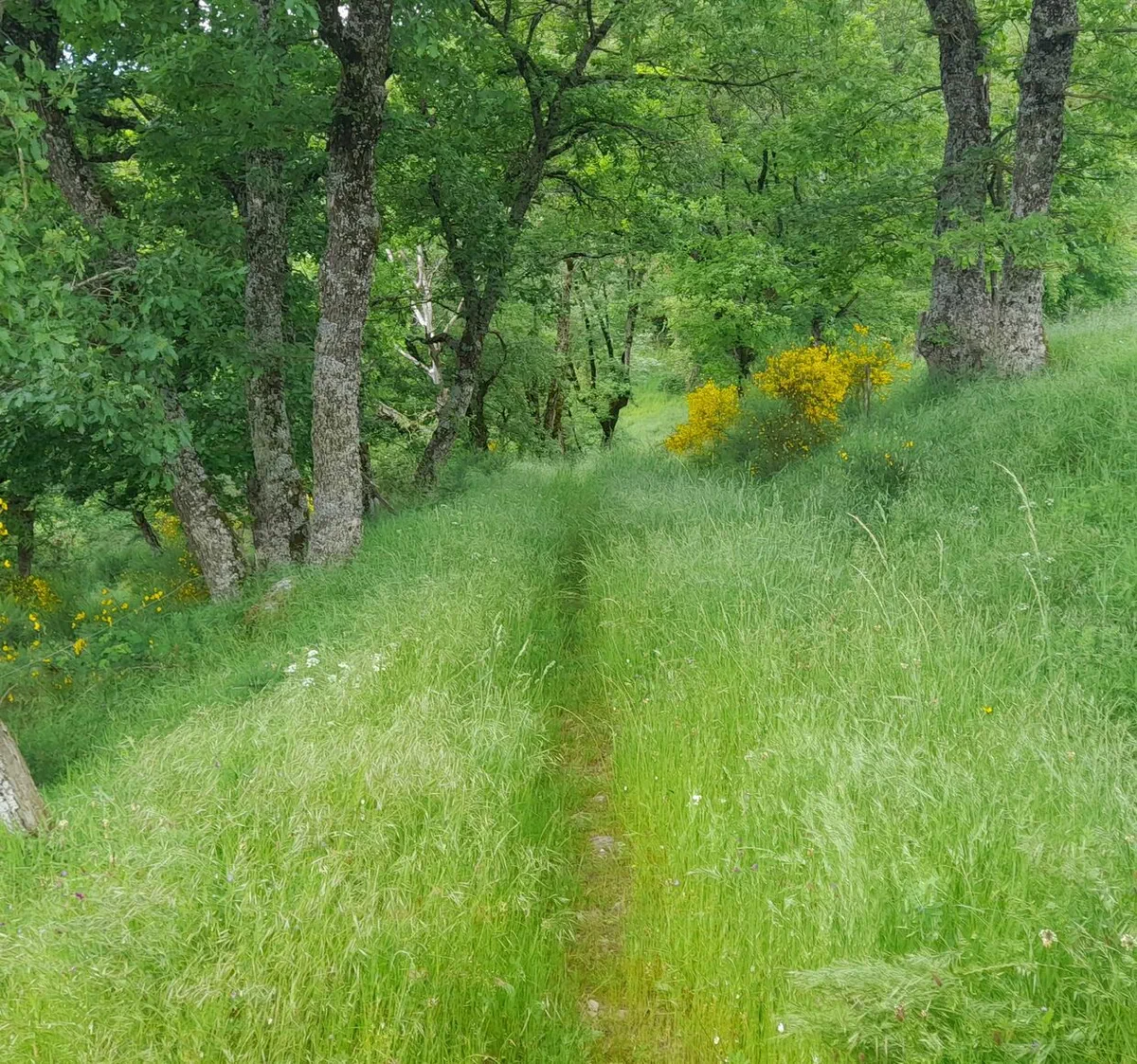 Le Mont Seigne via le domaine Les Landes