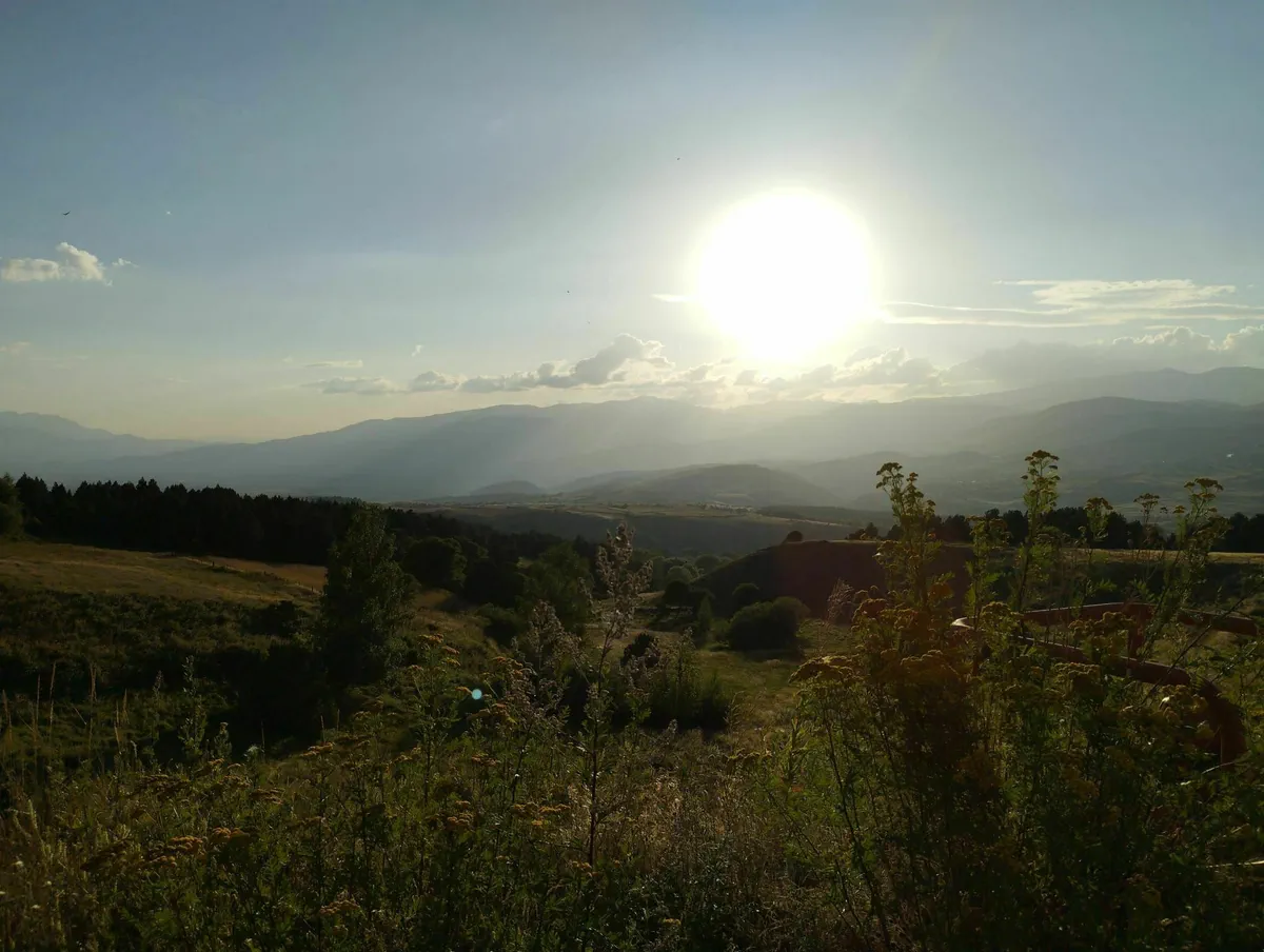Le sentier forestier sur les pistes du Cambre d'Aze