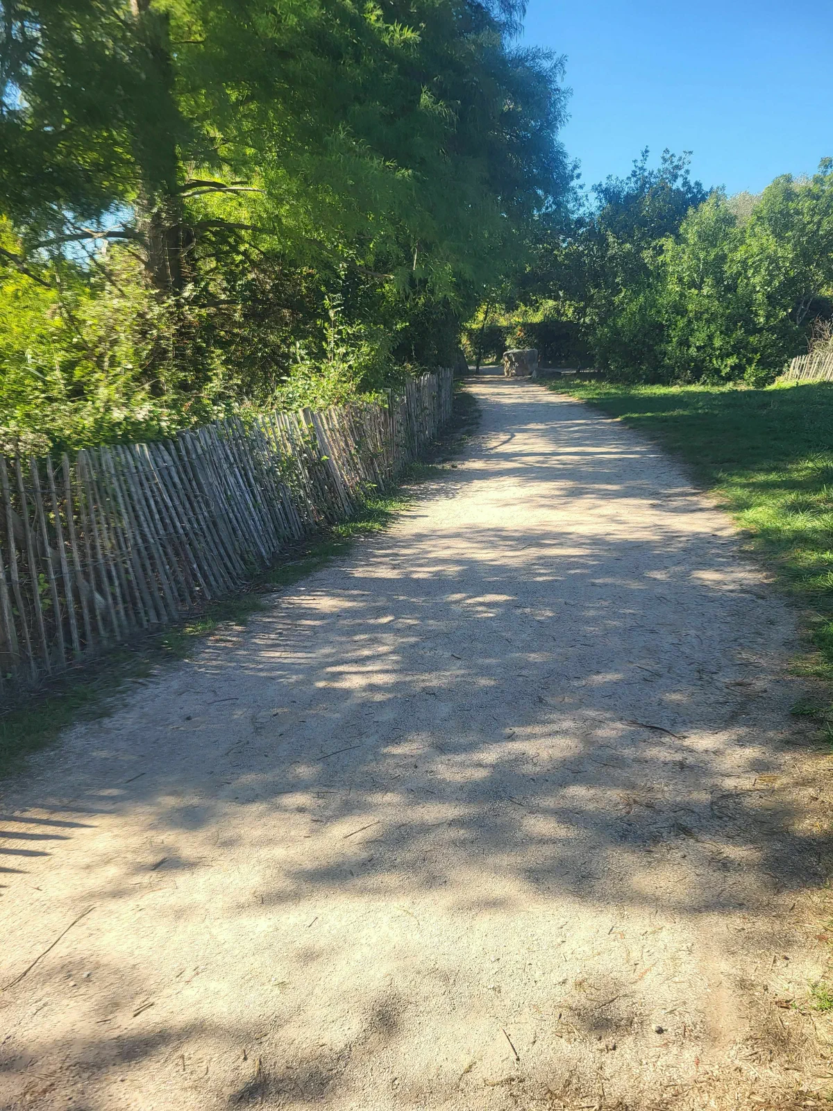 PETITE BALADE AUTOUR DE L'ETANG DE FONTMERLE