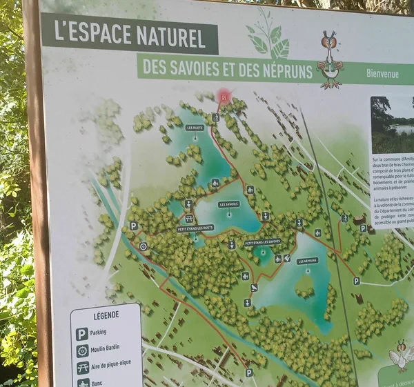 Balade à Amilly, détour par les Savoies et les Népruns