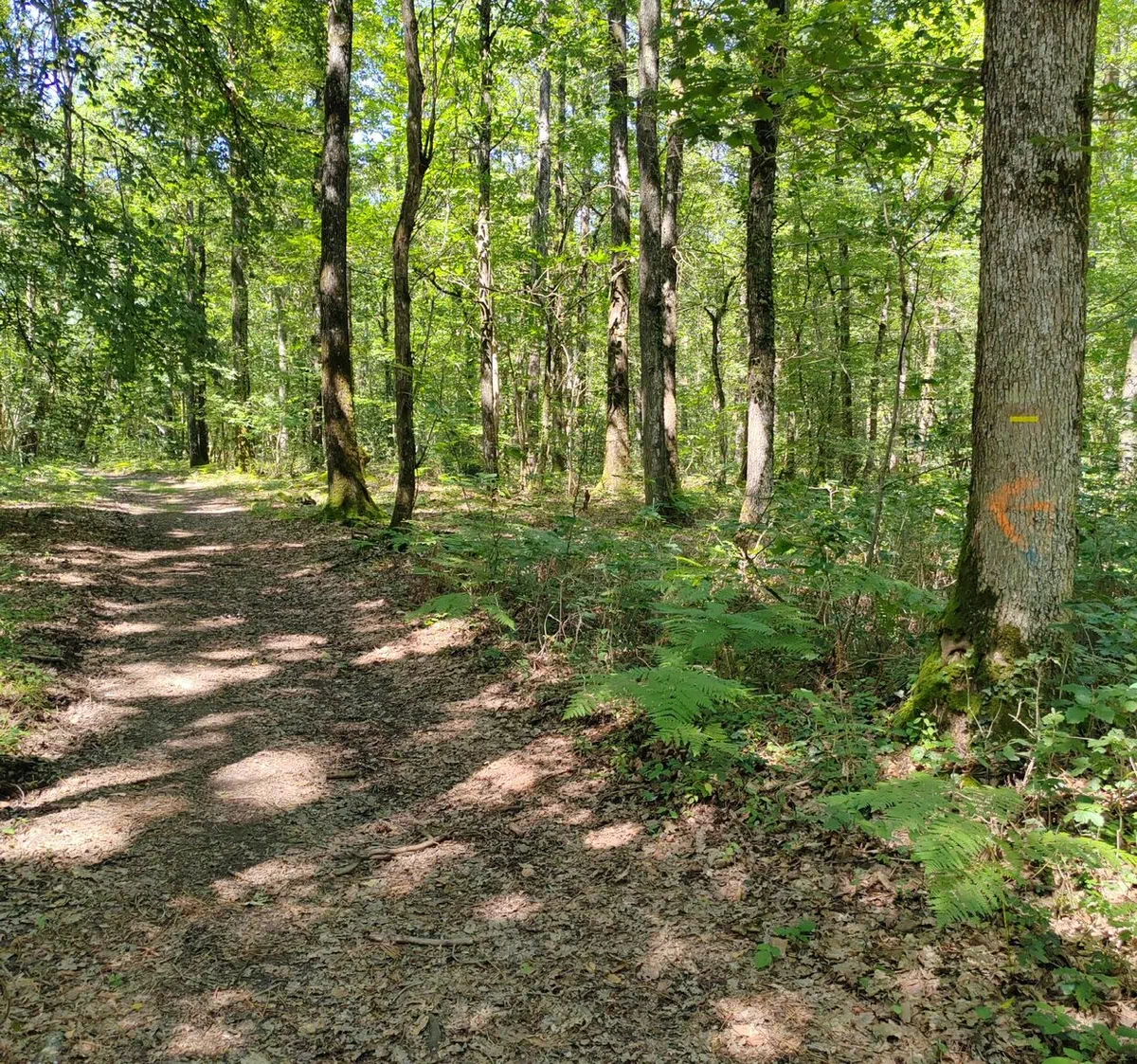Le bordage et la Ferrière