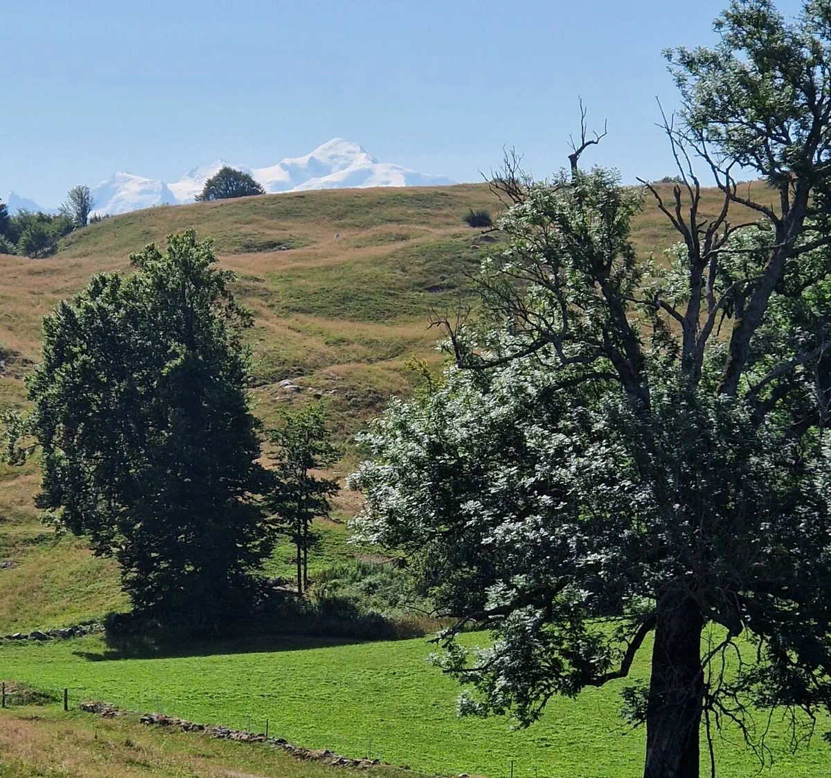 Boucle sur le plateau de Plaines Joux, vue Mont Blanc