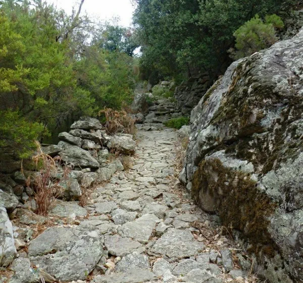 Traversée par le Col de Bartouyre, Barraques de Caylus et Colombières