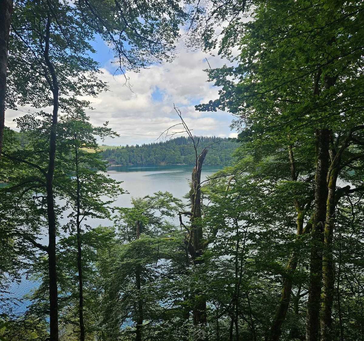 Du Pavin à Montcyneire en boucle