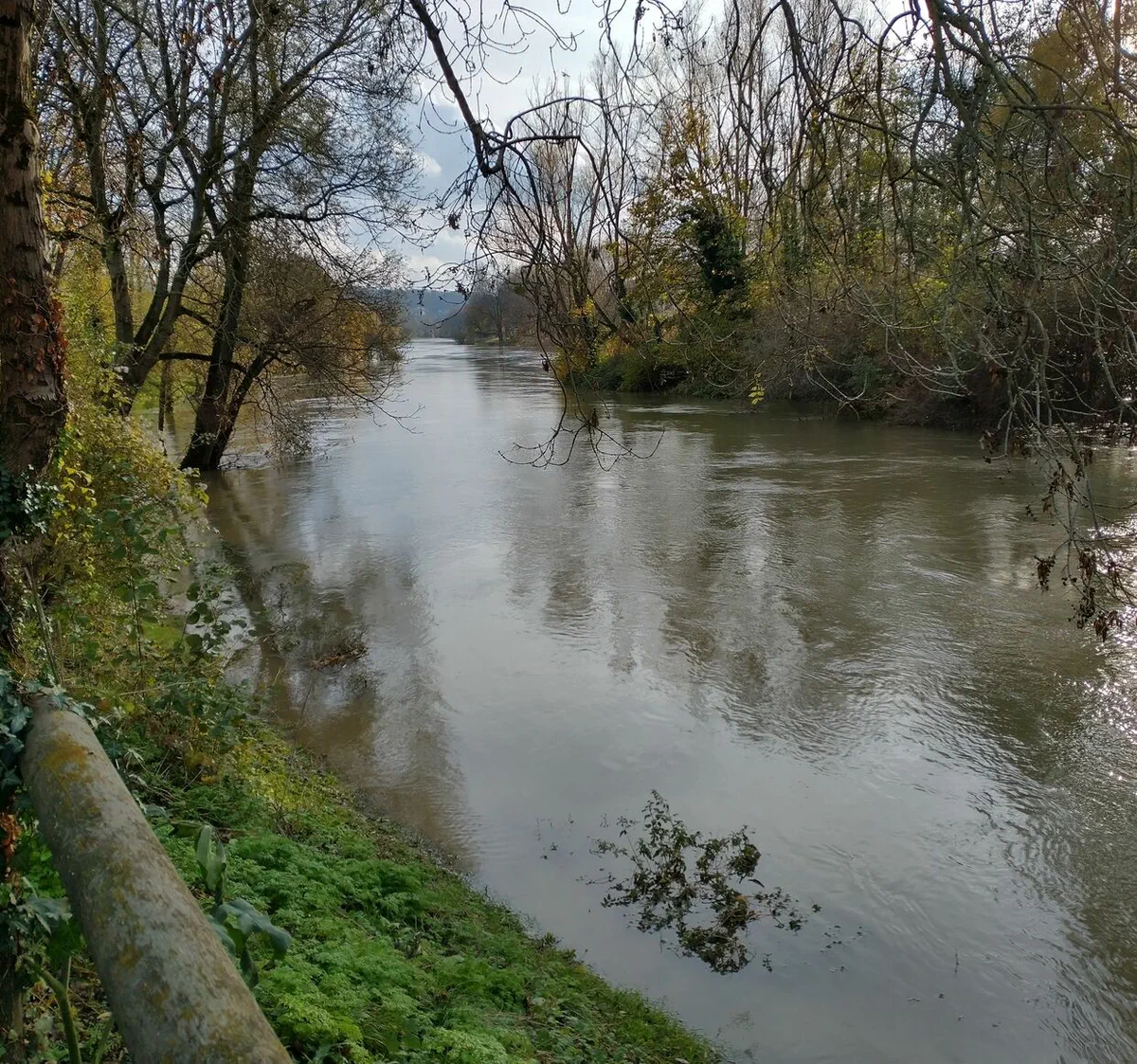 Bords de Marne et ses îles à Saint-Maur