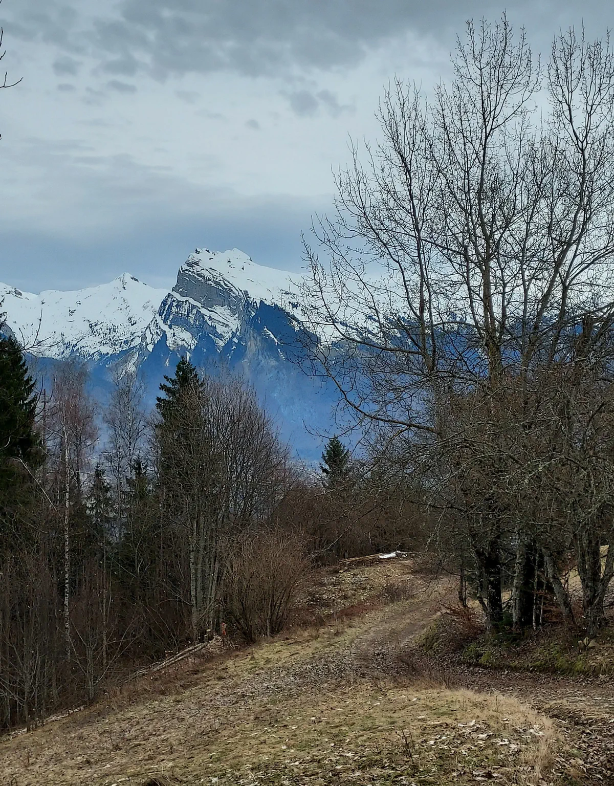 Balade sur le versant nord de Morillon Les Esserts
