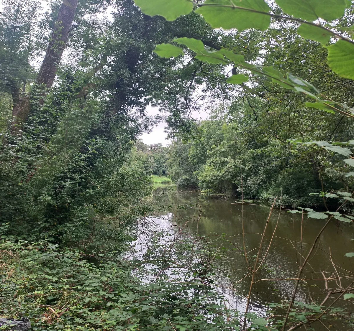 Balade le long de l'Oudon