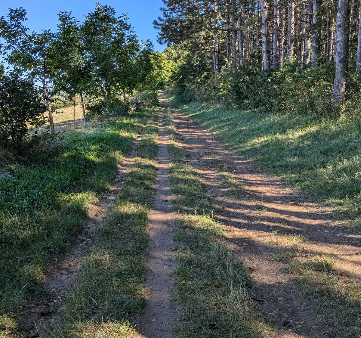 Les coteaux de Cournon, du puy d'Anzelle vers le puy de Bane