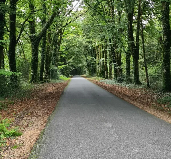 Promenade à Elven et sa périphérie.