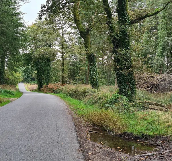 Promenade à Elven et sa périphérie.