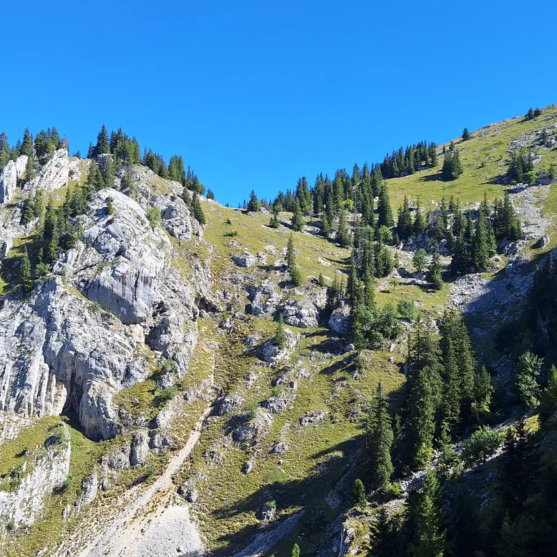 Charmant Som : la randonnée séduisante de Chartreuse