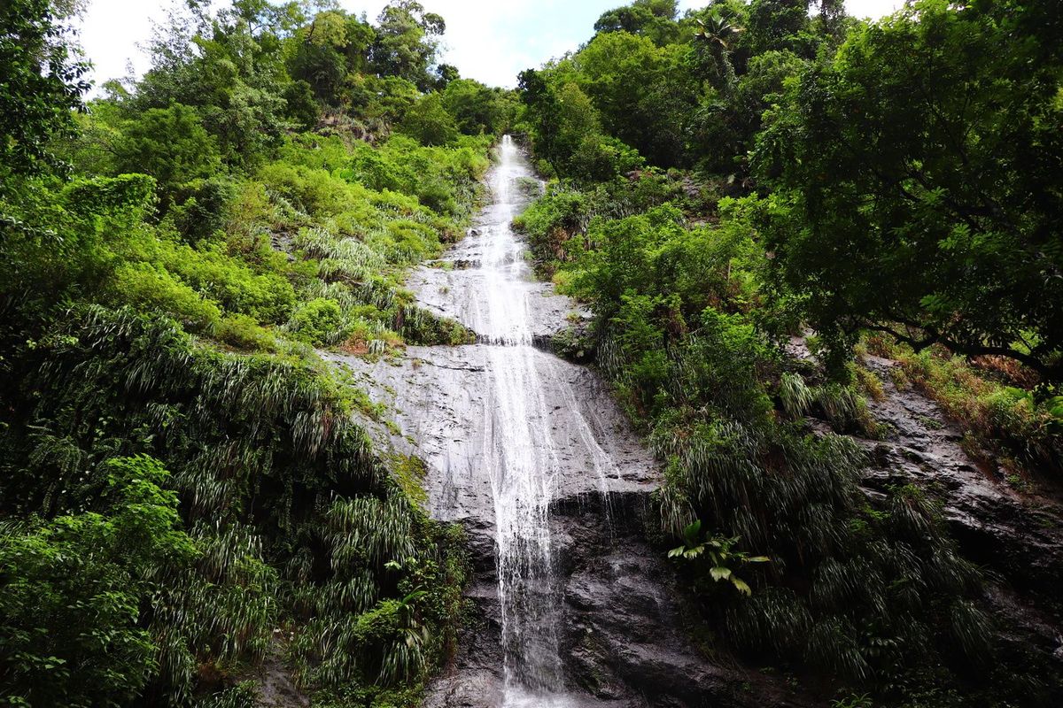 Cascade Couleuvre : rando incontournable de l'île aux Fleurs