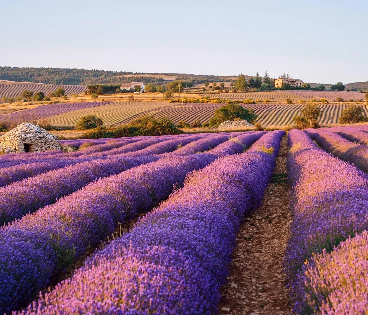 Randonnée Drôme : les plus beaux itinéraires