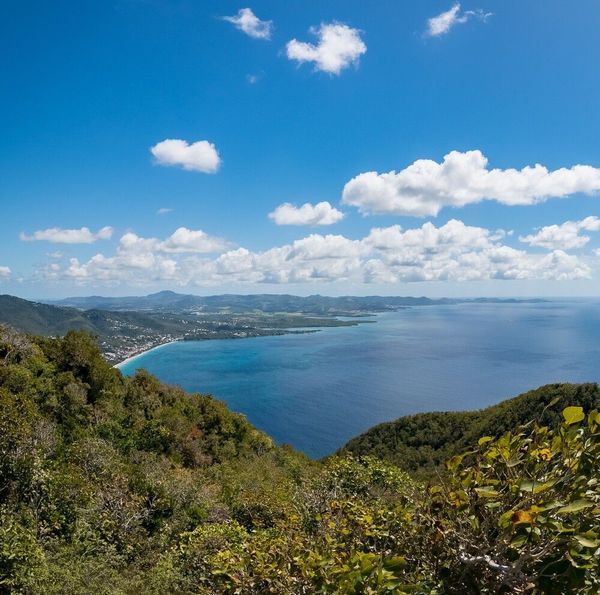 Randonnée au Morne Larcher : nos 2 itinéraires préférés