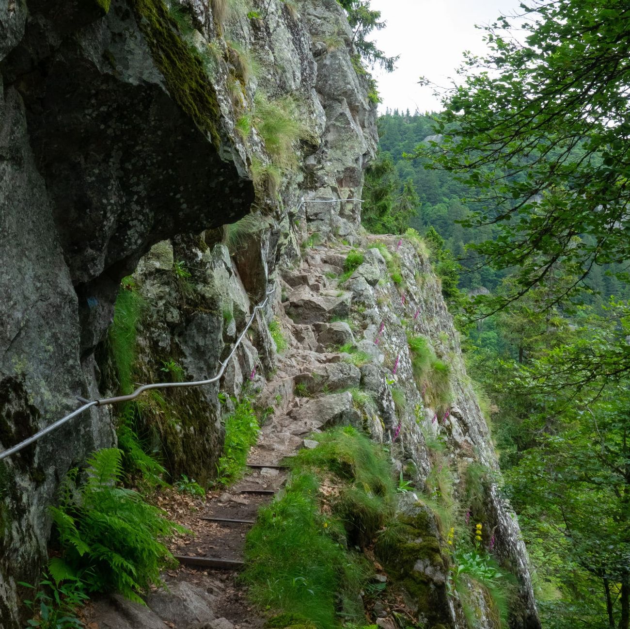Le sentier des Roches, la rando frisson des Vosges
