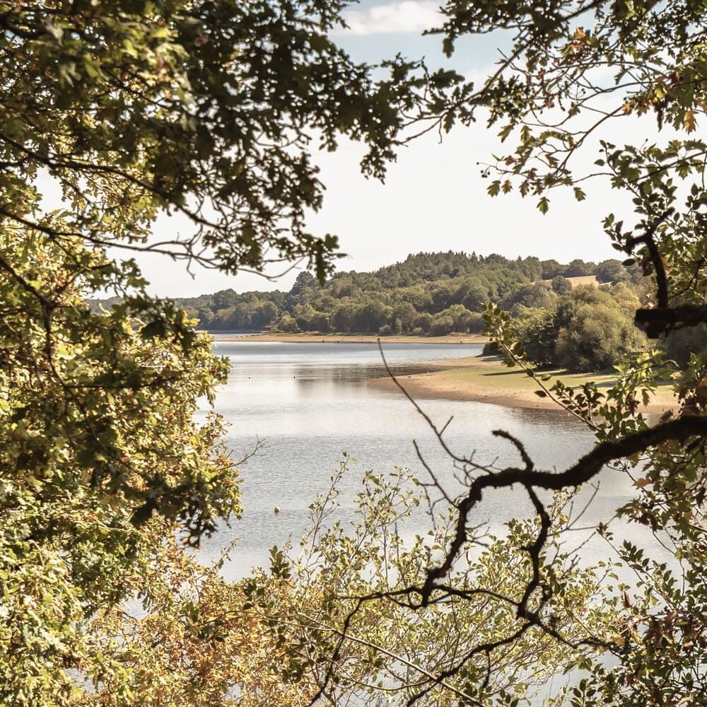 Lac du Jaunay : top 3 des meilleures randonnées