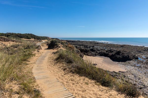 Randonnées en forêt de Mervent : nos itinéraires préférés