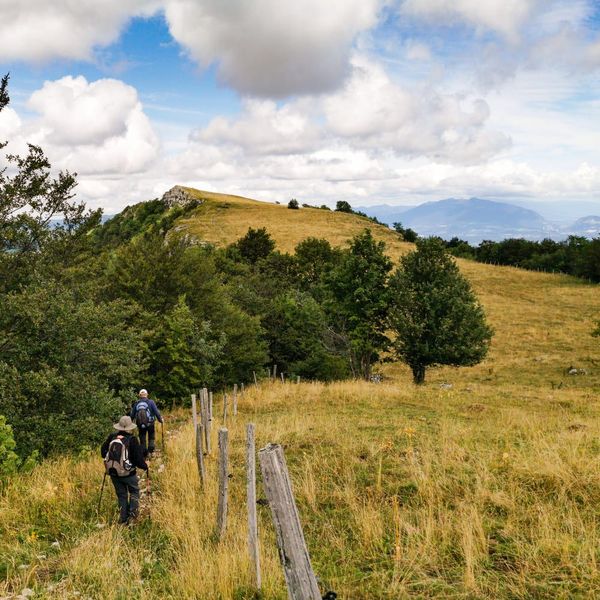 Randonnée au Grand Colombier : top 7 des itinéraires