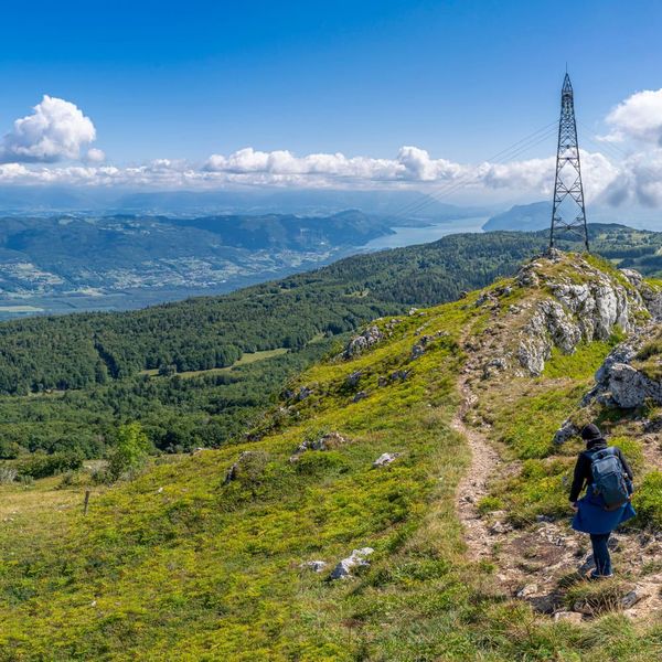 Randonnée au Grand Colombier : top 7 des itinéraires
