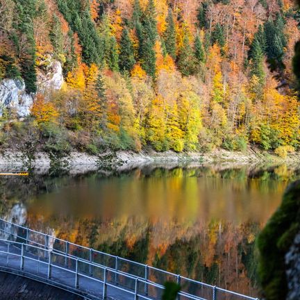 Randonnée au Saut du Doubs : top 6 des itinéraires
